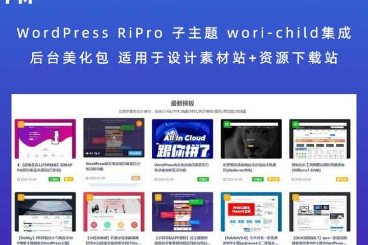 WordPress RiPro 子主题 wori-child集成后台美化包 适用于设计素材站+资源下载站 – Z站(resource.zyuanzhan.com)