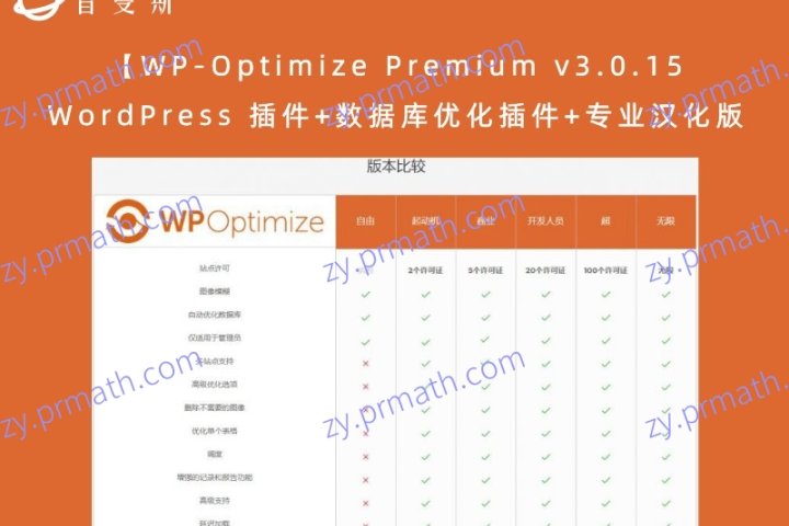 【WP-Optimize Premium v3.0.15】WordPress 插件+数据库优化插件+专业汉化版 – Z站(resource.zyuanzhan.com)